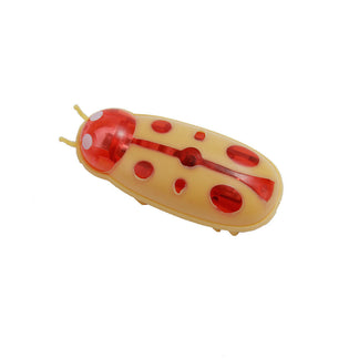 Electric Insects Automatic Cat Toys – Glampawstore