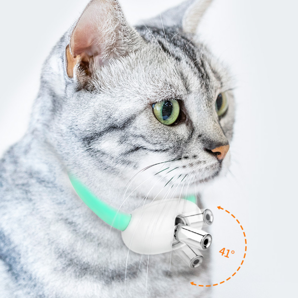 Cat Collar Laser Light Toys – Glampawstore