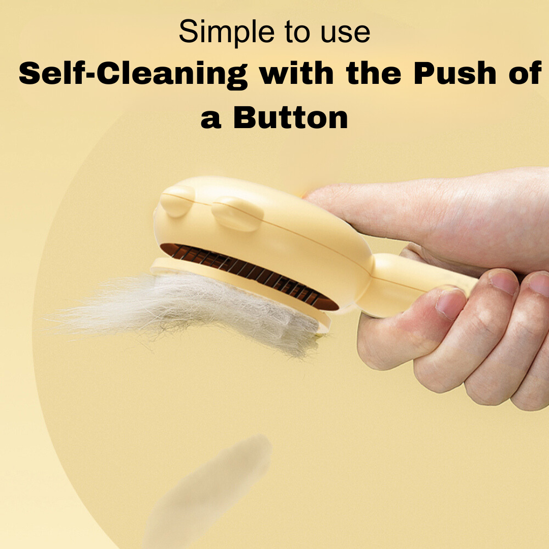 Cat Hair Removal Comb Brush Pet Grooming – Glampawstore