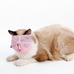 Breathable Cat Mask with Mesh Design for Comfort and Safety – Glampawstore