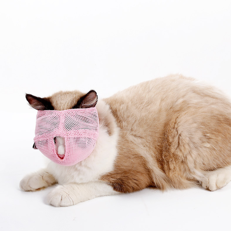 Breathable Cat Mask with Mesh Design for Comfort and Safety – Glampawstore
