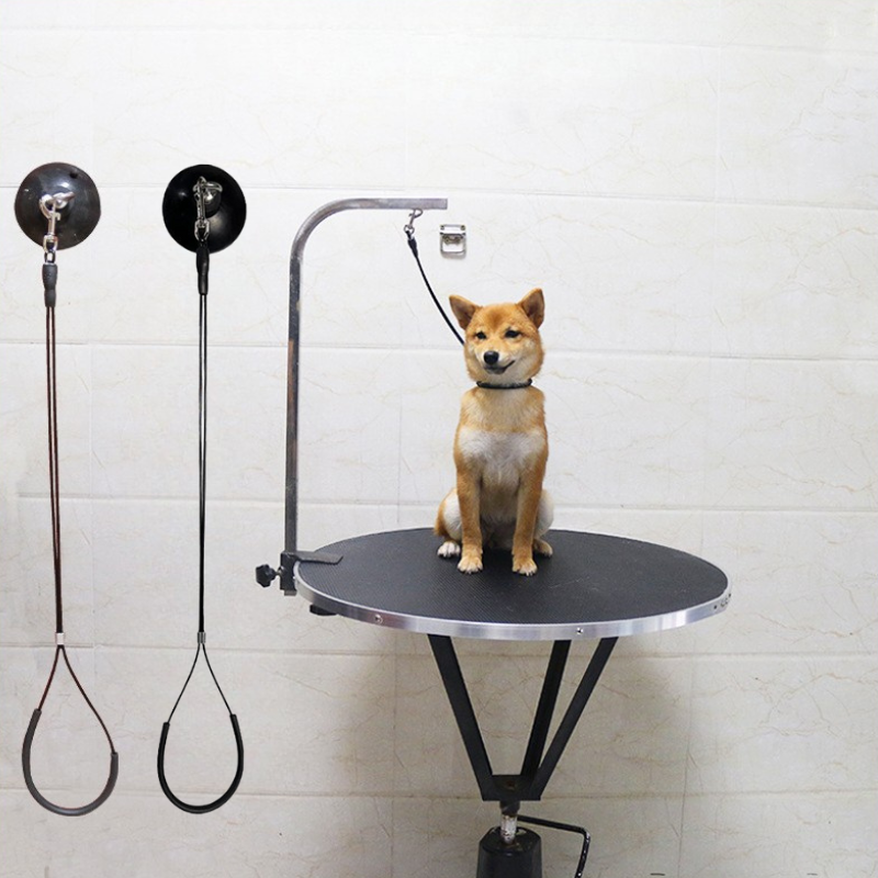 Pet Bathing Tether with Suction Cup Cat Restraint Loops Rope – Glampawstore