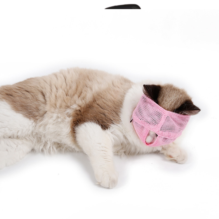 Breathable Cat Mask with Mesh Design for Comfort and Safety – Glampawstore