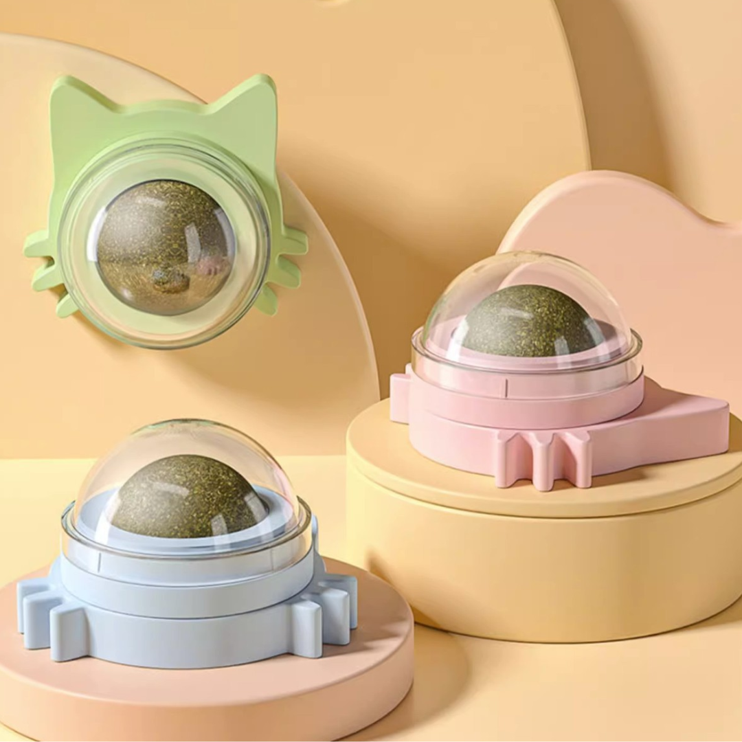 Cat Toys Catnip Ball Toys For Cats Licking – Glampawstore